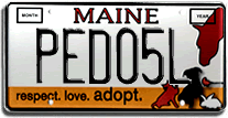 Lornes New ,license plate | Temple of TCAP